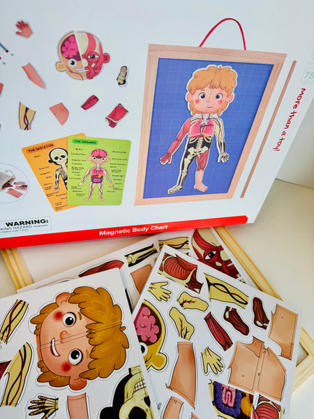 Magnetic Body Chart - Tooky Toy – The Coffee Apple